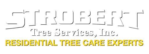 Contact | Strobert Tree Services