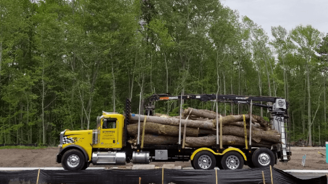 About Us | Strobert Tree Services