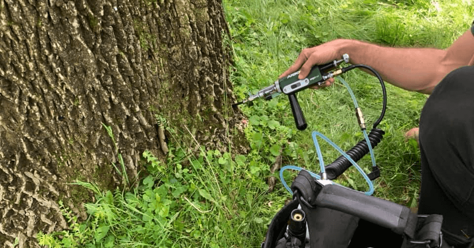 Plant Health Care | Strobert Tree Services