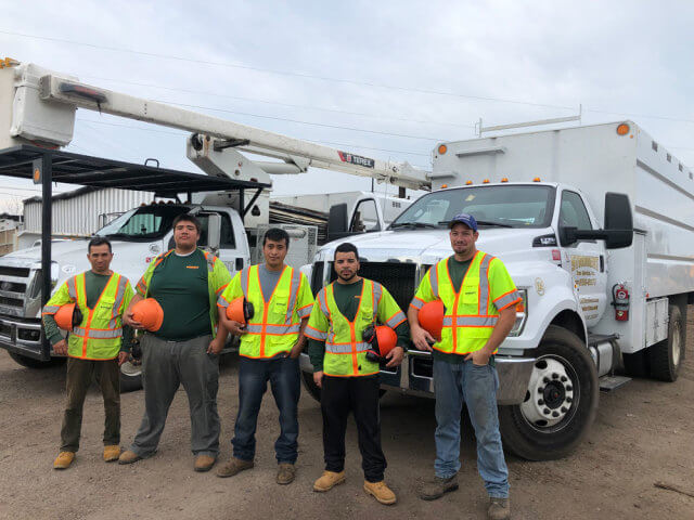 About Us | Strobert Tree Services