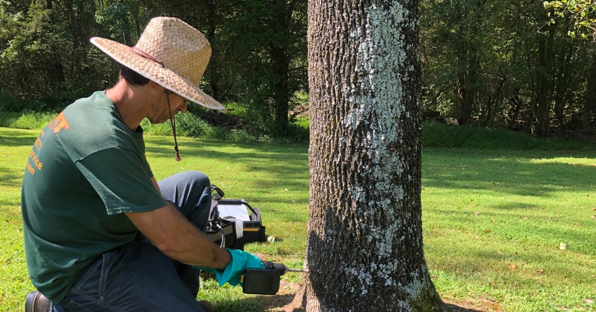 Privacy Policy | Strobert Tree Services