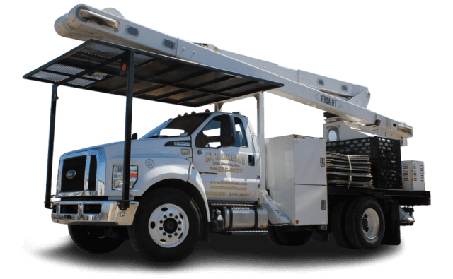 Strobert Tree Services | Tree Care Company in Delaware