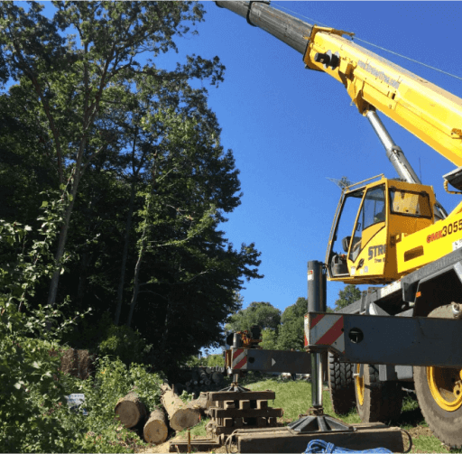 Chester and Delaware County | Strobert Tree Services