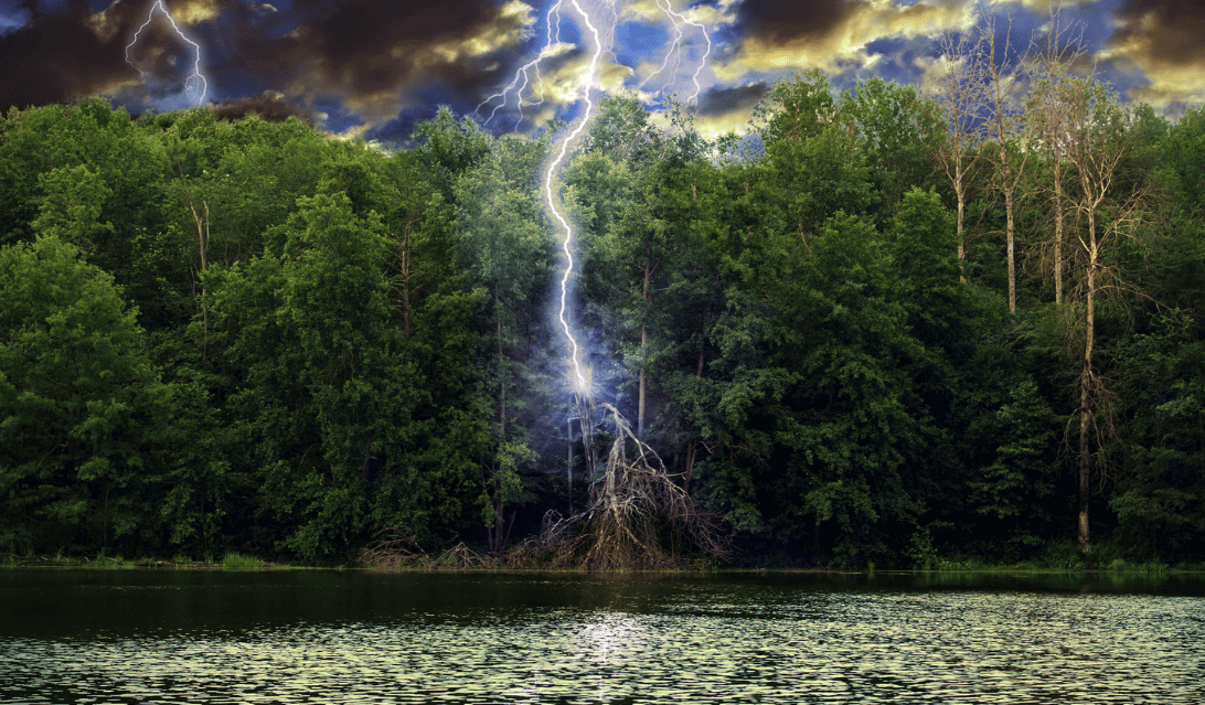 Lightning Strikes and Trees | Strobert Tree Services