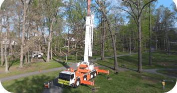 Wayne, Pennsylvania Tree Service - Tree Removal & More