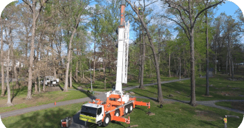 Lansdale Arborist & Tree Service – Residential & Commercial