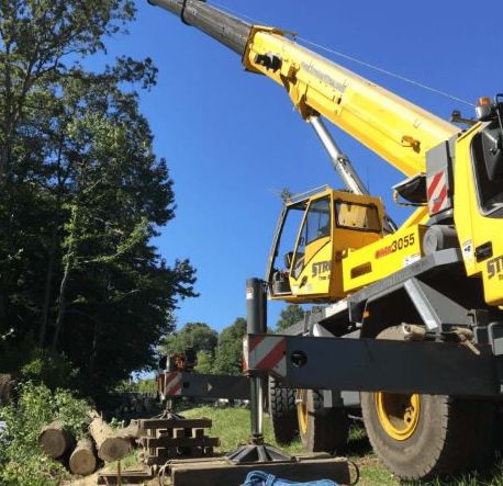 Wilmington, DE Tree Service - Emergency Tree Removal Plus
