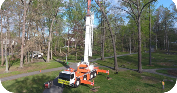 Tree Service West Chester, PA - Tree Removal & More