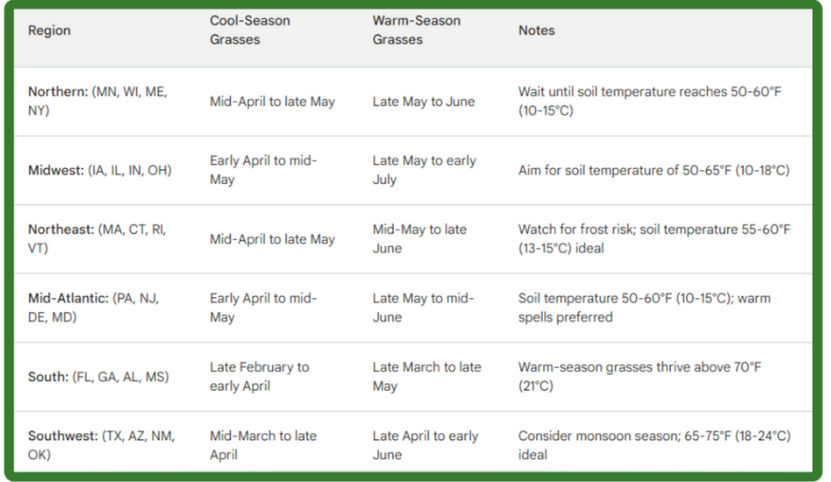 When Is The Best Time To Plant Grass Seed Strobert Tree Services