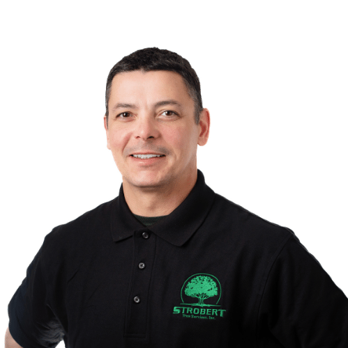About Us | Strobert Tree Services