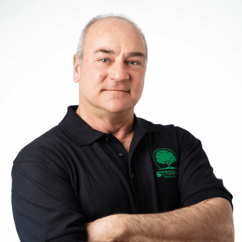 Exton Pennsylvania | Strobert Tree Services