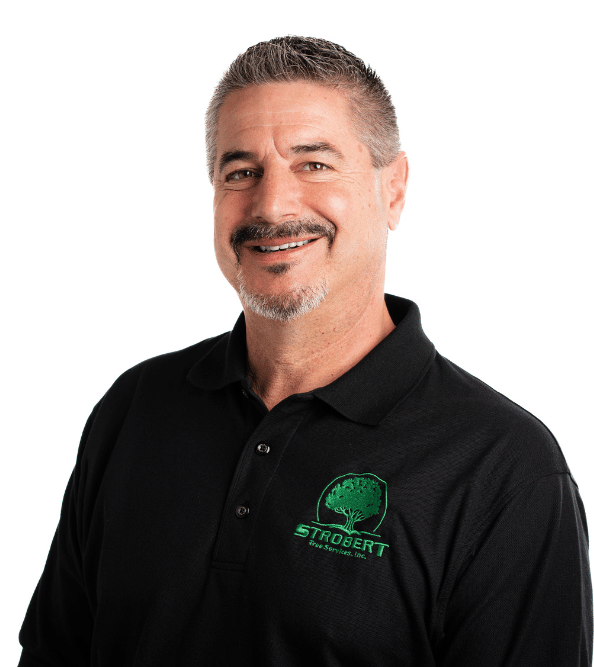 About Us | Strobert Tree Services