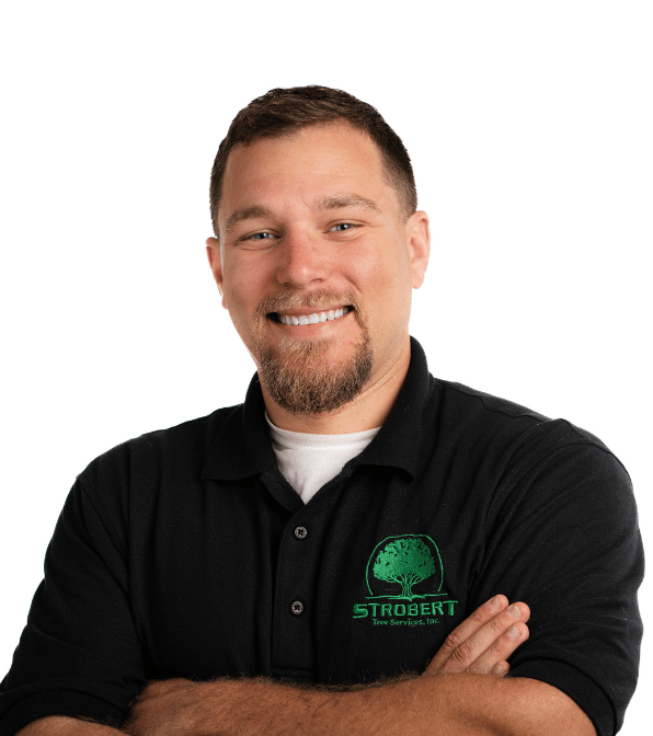 About Us | Strobert Tree Services