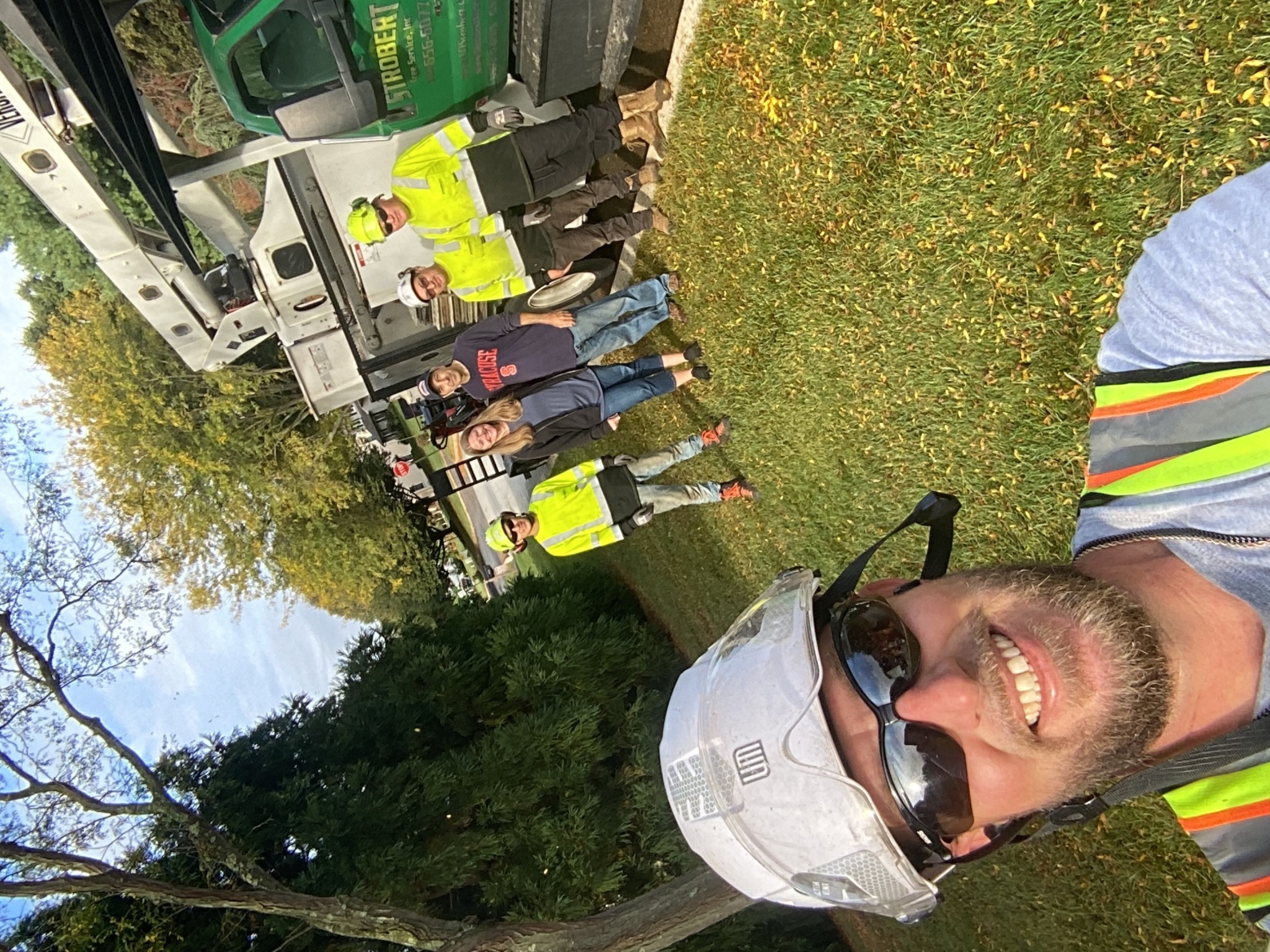 Strobert Tree Services | Trusted Tree Care in Delaware & PA