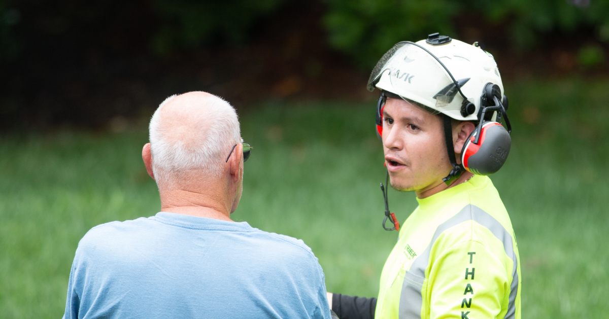 Strobert Tree Services Trusted Tree Care In Delaware And Pa 9262